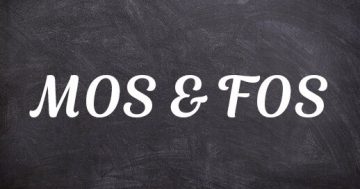 Blogs - nourish Pet Food